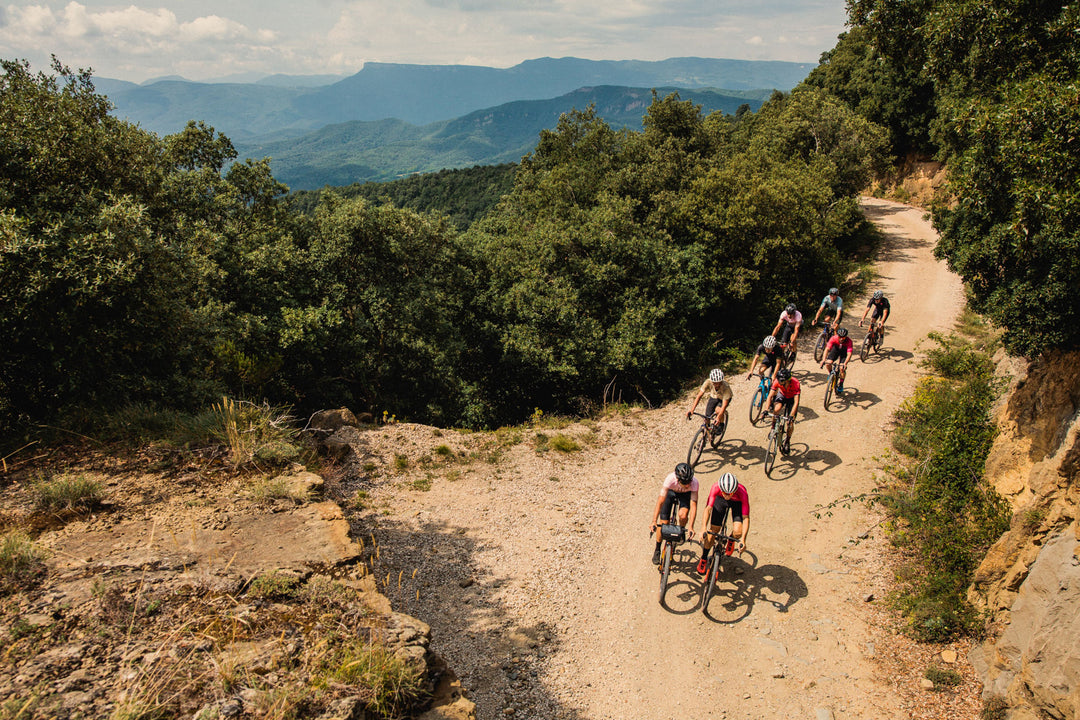 All Travel – The Service Course